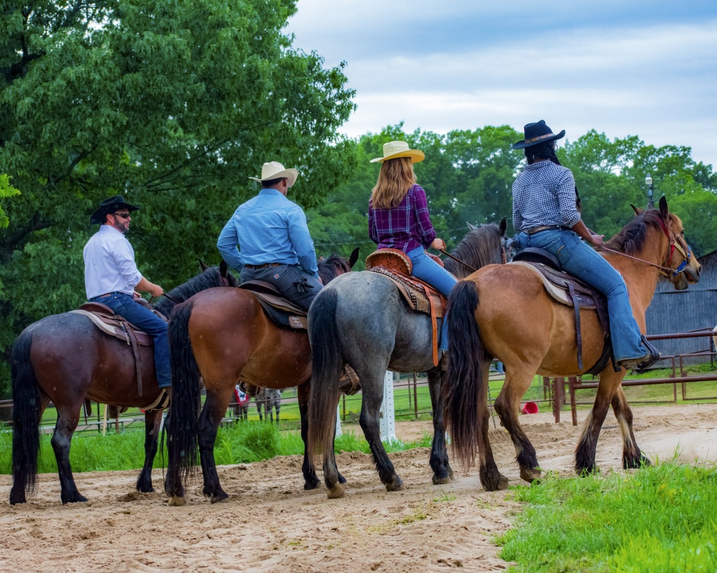 2-Hour Trail Rides Horses in Tennessee, Memphis | Shelby Farm Stables